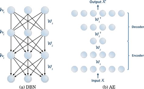 Deep Belief Network And Autoencoder Architectures Download Scientific Diagram