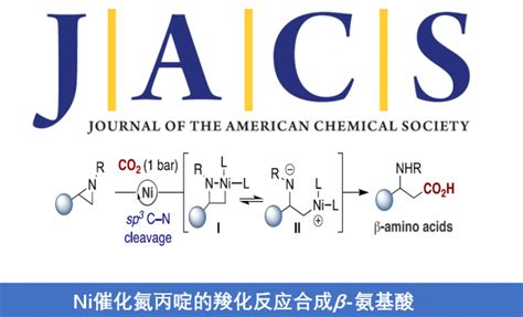 西班牙加泰罗尼亚化学研究所ruben Martin教授课题组jacs： Ni催化氮丙啶的羧化反应合成β 氨基酸 化学空间 Chem Station