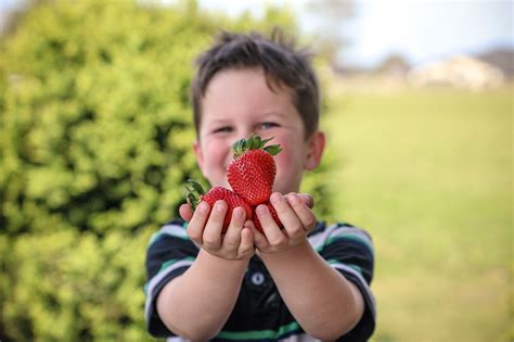 Riverhead Forest Trail Riverhead Forest Trail Runners