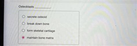Solved Osteoblasts Q Secrete Osteoidbreak Down Boneform