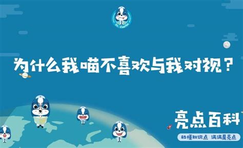 【犬猫行为】为什么猫咪拒绝与我对视呢？ 知乎