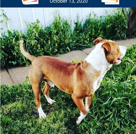 Manuel Landeta Terminando Hoy Un Workshop Con Parte De Este Maravilloso Equipo Que Es Nuestro