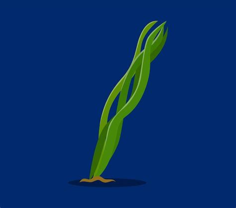 Premium Vector Underwater Sea Font Undersea Type Slash Symbol