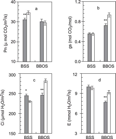 Comparison Of Photosynthetic Parameters In The Functional Leaves Download Scientific Diagram
