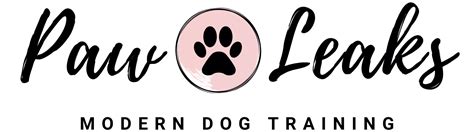 Maltese Lifespan Facts You Should Know PawLeaks