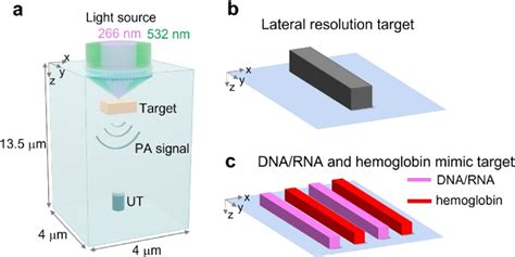 Figure 2 From Dual Wavelength Uv Visible Metalens For Multispectral Photoacoustic Microscopy A