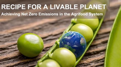 Ifc Climate And Sustainability On Linkedin Ghgemissions Netzero