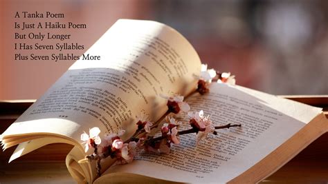 Tanka Poems About Friendship