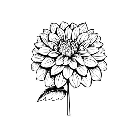 Premium Vector Dhalia Flower Silhouette Vector Illustration