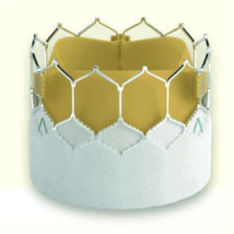 Newer Generation Edwards Sapien 3 Resilia Tissue Valve With