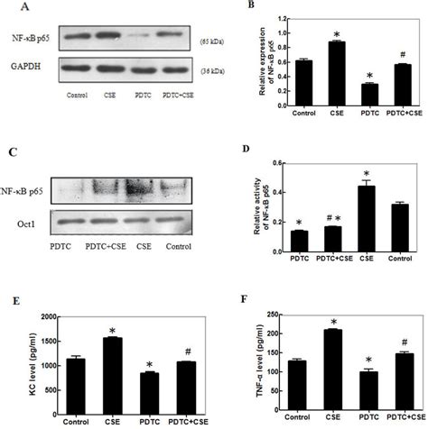 Cse Enhances The Nf κbp65 Activation And Inflammatory Cytokine