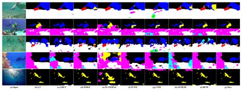 Contrastive Feature Disentanglement Via Physical Priors For Underwater Image Enhancement