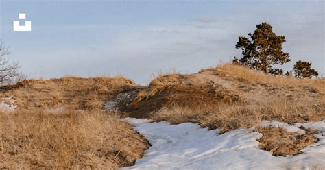 눈 덮인 언덕 꼭대기에 외로운 나무 사진 Unsplash의 무료 자연 이미지