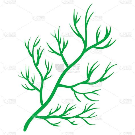 莳萝草木天然健康有机营养产品柑橘矢量涂鸦卡通平面时尚插图手绘孤立
