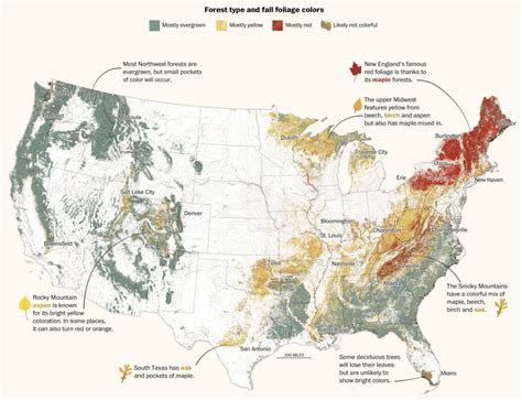 The Washington Post Maps Fall Foliage The Map Room