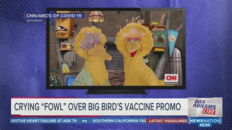 Big Bird Gets Vaccinated Media Members Get Their Feathers Ruffled