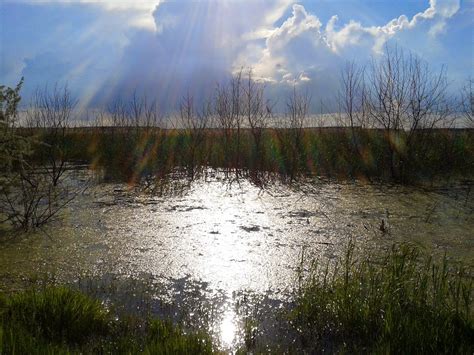 Poze Imagini Desktop Imagini Frumoase Natura