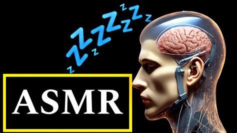 Ultimate ASMR Triggers for Deep Relaxation & Tingles - YouTube