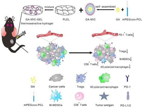 Developments On The Smart Hydrogel Based Drug Delivery System For Oral