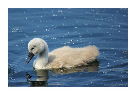 here i float lost in thought by 999999999a on deviantart
