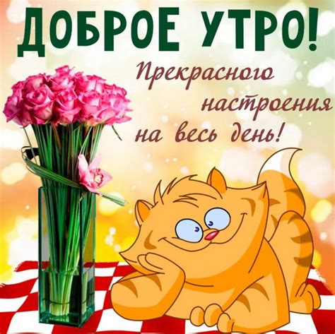 Красивые картинки с добрым утром прикольные смешные со смыслом
