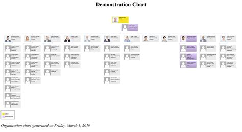 teamorgchart user guides