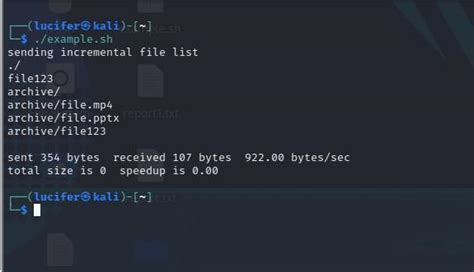 Move And Copy Different File Types In Different Folders Using Shell