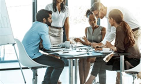 Online Course Capstone Project Applying Business Analysis Skills From