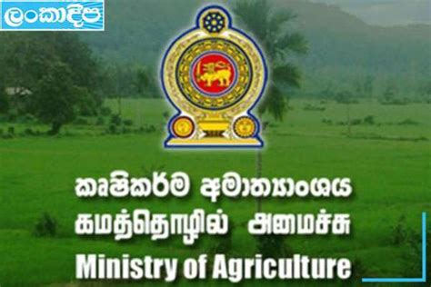 ‘තේ ආදායම පස් ගුණයකින් වැඩි කරන ක්‍රමයක් ‘ Lankadeepa Online