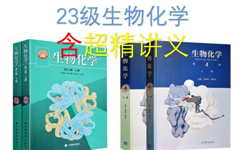 Bilibili