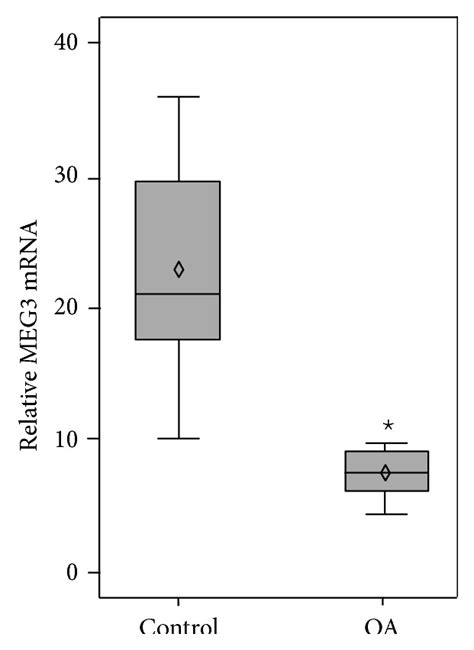 The Long Noncoding RNA MEG3 Is Downregulated And Inversely Associated