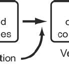 Diagram Showing How Postural Inputs To Inferotemporal Cortex Can Be Download Scientific Diagram