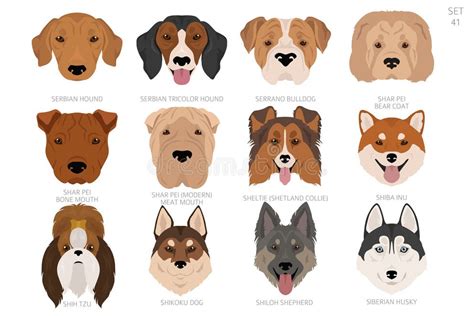 Dog Head In Alphabet Order All Dog Breeds Stock Vector Illustration