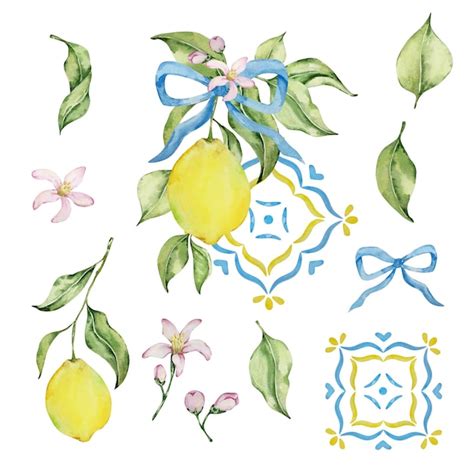 Premium Vector Watercolor Juicy Lemon And Leaves Mediterranean