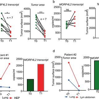 Comparative Analysis Of MORF4L2 CfRNA Transcript Profiles And Tumor