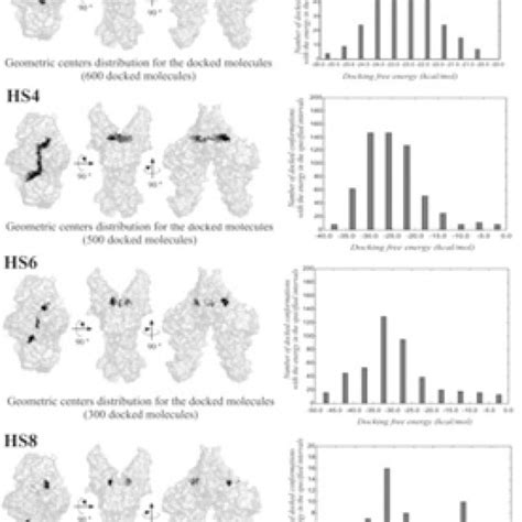 Statistical Analysis Of All The Conformations Resulted From Docking