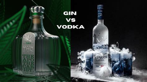 Gin Vs Vodka 5 Key Differences You Should Know