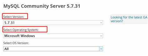 小白10分钟在本地win10安装mysql 5731 Winx64 灰信网（软件开发博客聚合）