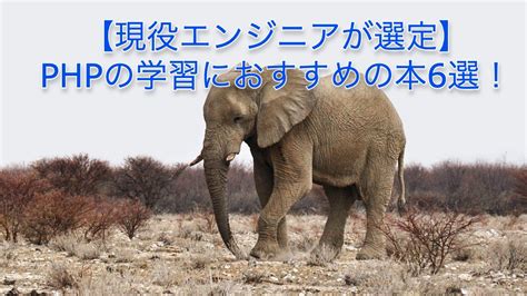 PHPのバージョンを確認する つの方法 コードライク