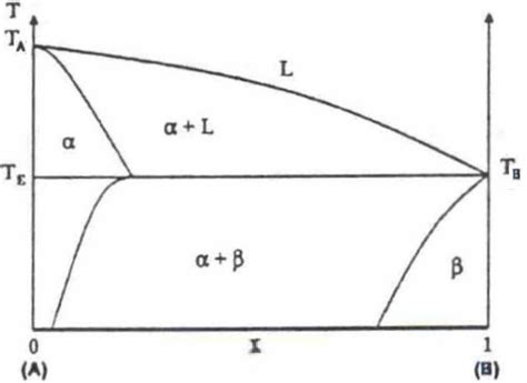 Possible Typical Phase Diagrams Of A Binary Alloy Formed By Components