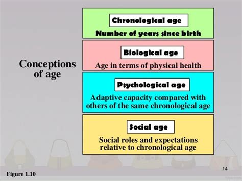 Functional Age Vs Chronological Age Listsqust