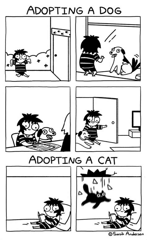 22 Funny Comics By Sarah Andersen Show The Quirky Differences Between