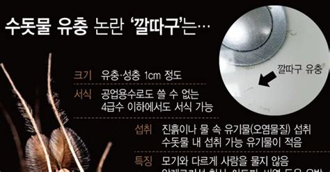환경부 먹는물 수질감시항목에 깔따구 유충 추가