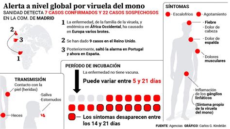 Todo Sobre Los Brotes De Viruela Del Mono Ya Detectados En España