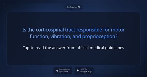 Is The Corticospinal Tract Responsible For Motor Function Vibration