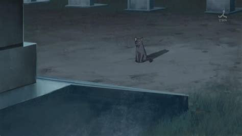 Just Finished Code Geass Did Arthur Find Out That Suzaku Is Still