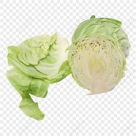 녹색 신선한 양배추 양배추음식성분야채 Png 일러스트 무료 다운로드 Lovepik