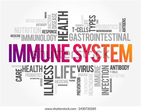 Immune System Complex Network Organs That Stock Vector Royalty Free