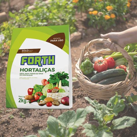 Substrato Forth Hortaliças 2kg Greenup Design