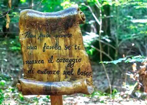 Streghe Gnomi Elfi Del Bosco Incantatoexploratori Della Domenica